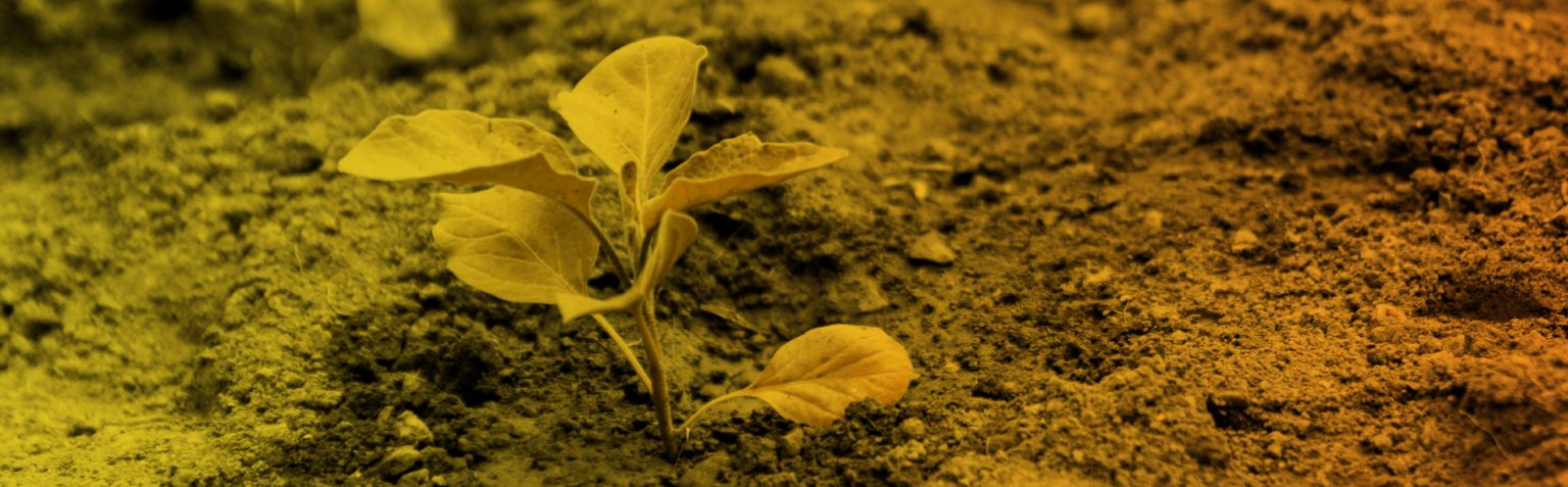 AGRI Nova Science plant nutrition and fertilizer manufacturer